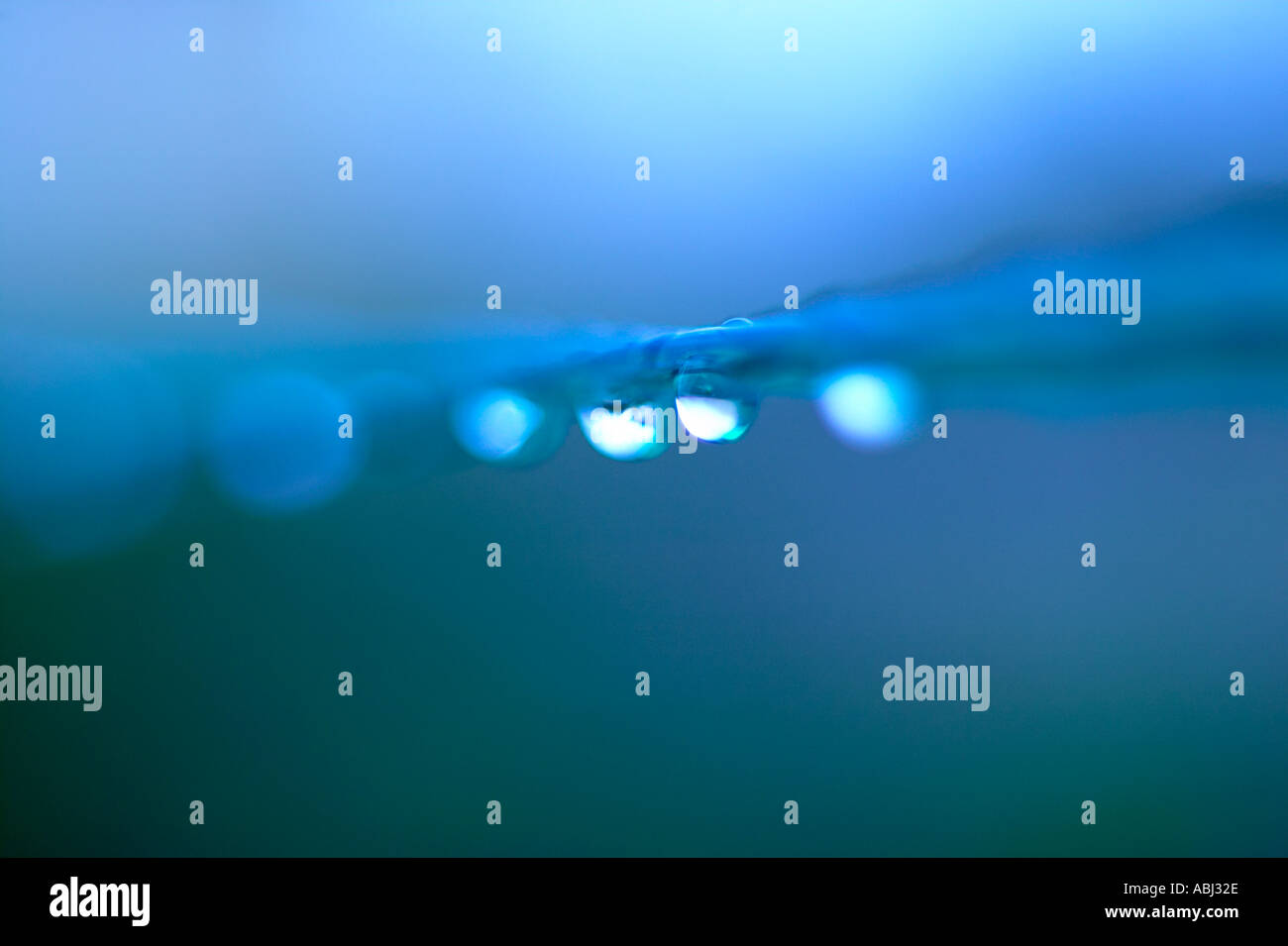 raindrops on washing line in rain Stock Photo - Alamy