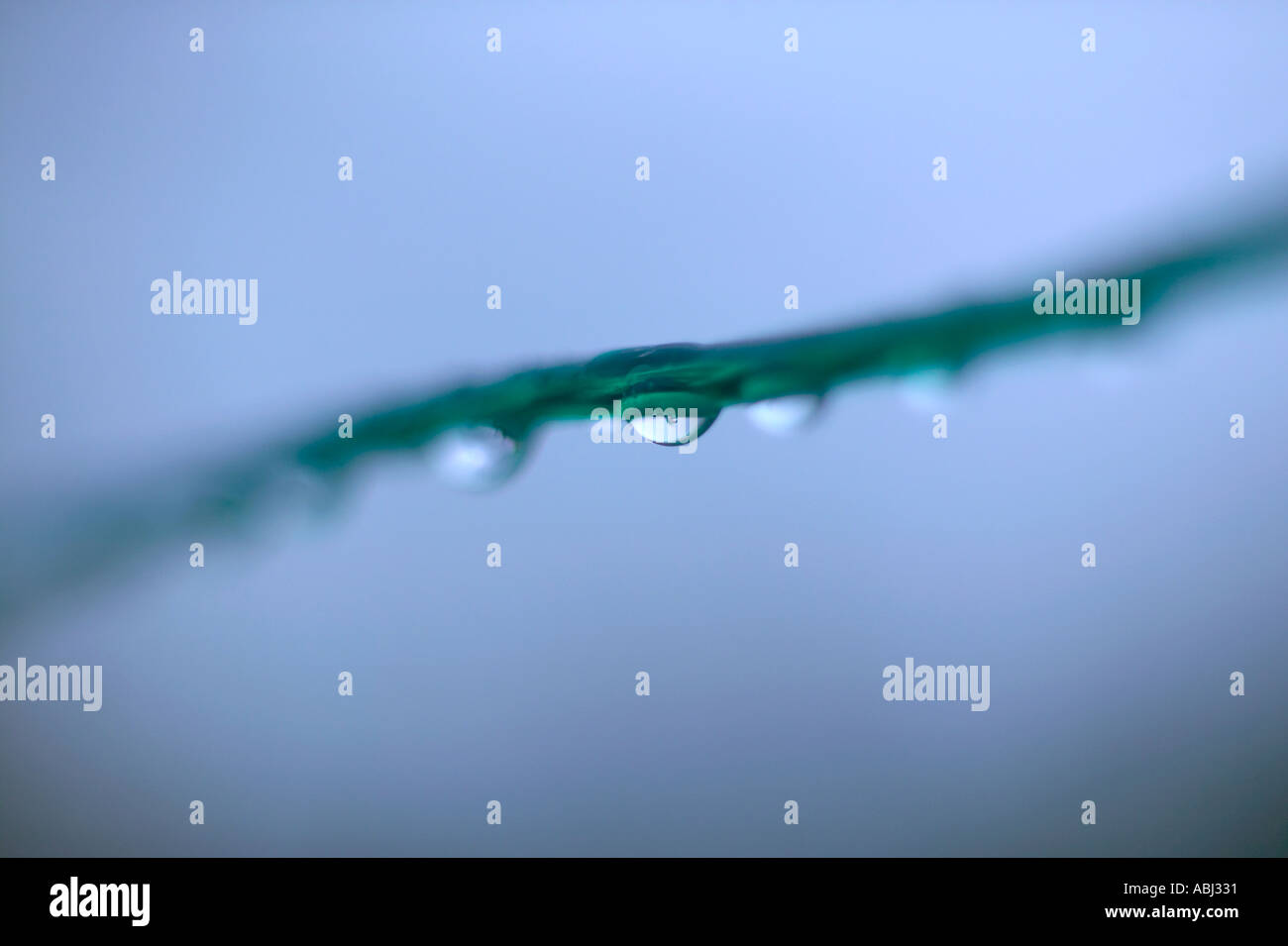 raindrops on washing line in rain Stock Photo - Alamy