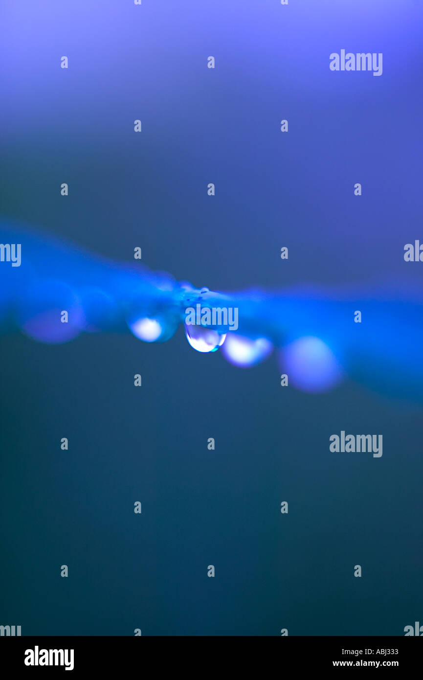 raindrops on washing line in rain Stock Photo - Alamy