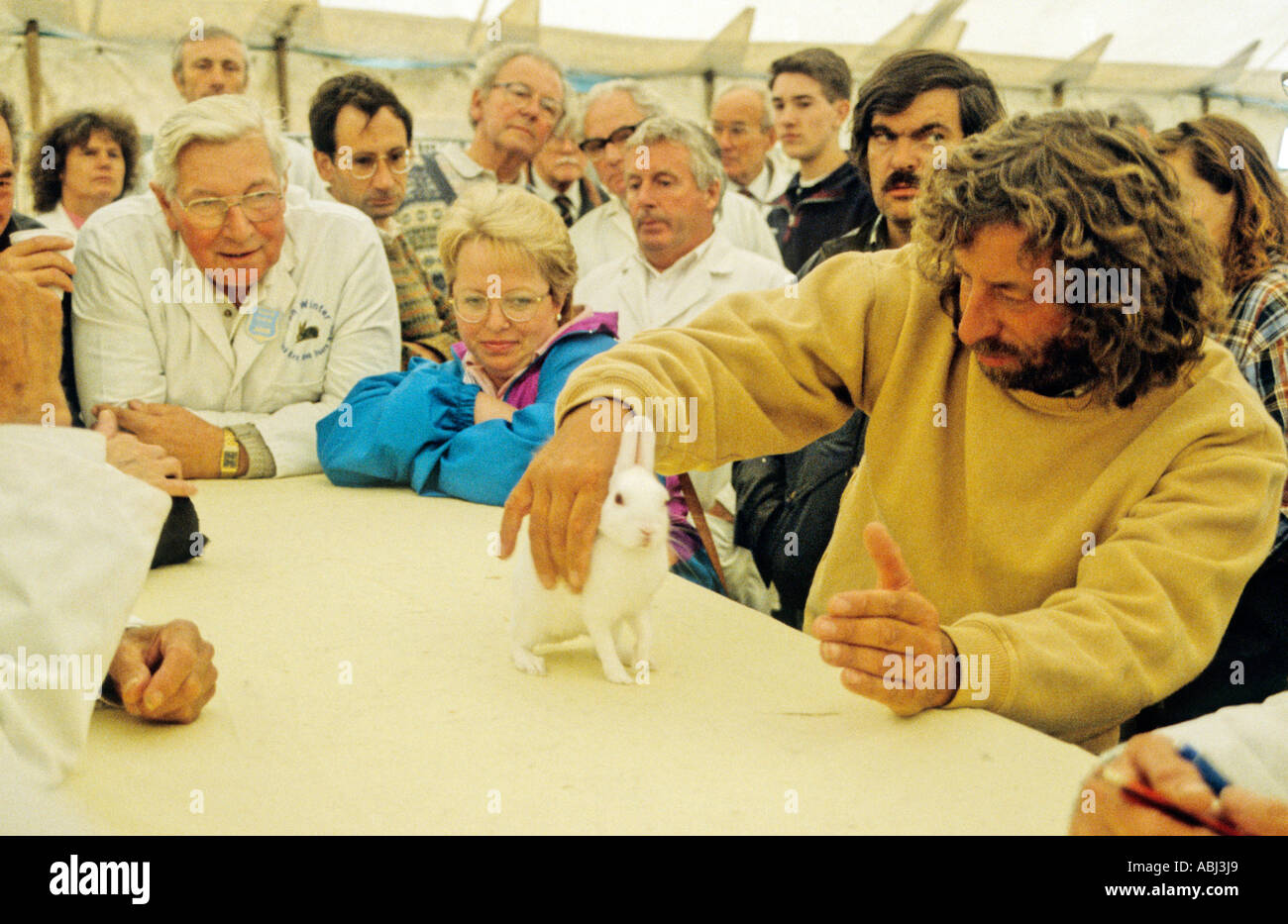 Rabbit judging, Thame Show, Oxfordshire, UK Stock Photo - Alamy