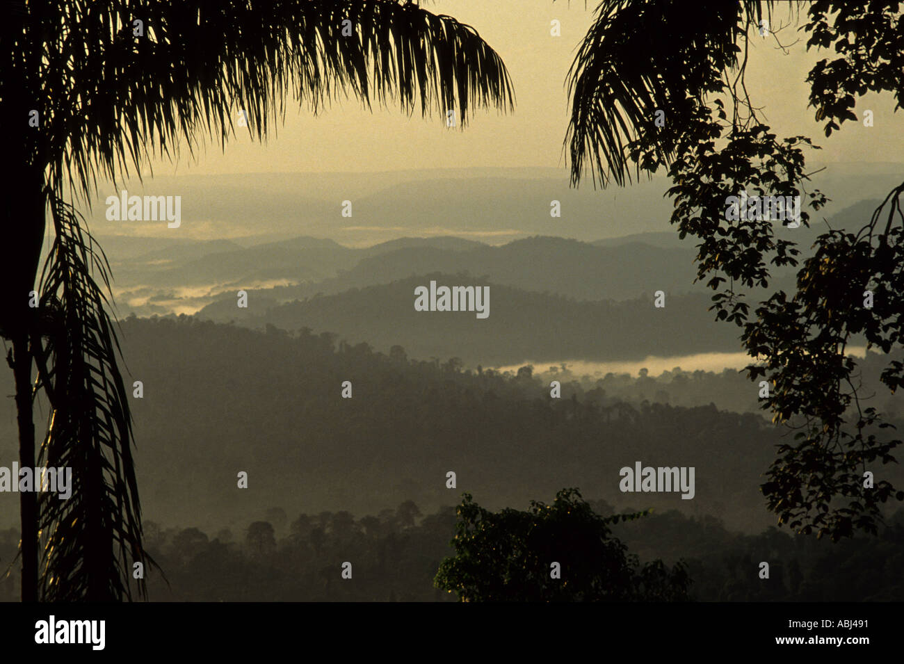 Para State, Brazil. Overview of misty rainforest in dawn light with ...