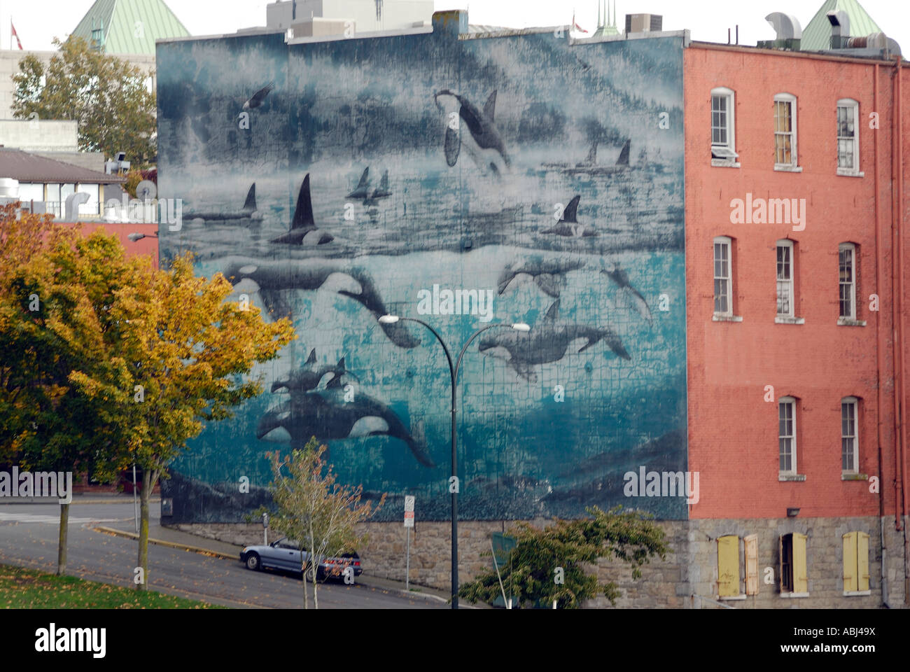 Painting wall in Victoria, city of Vancouver Island Stock Photo - Alamy