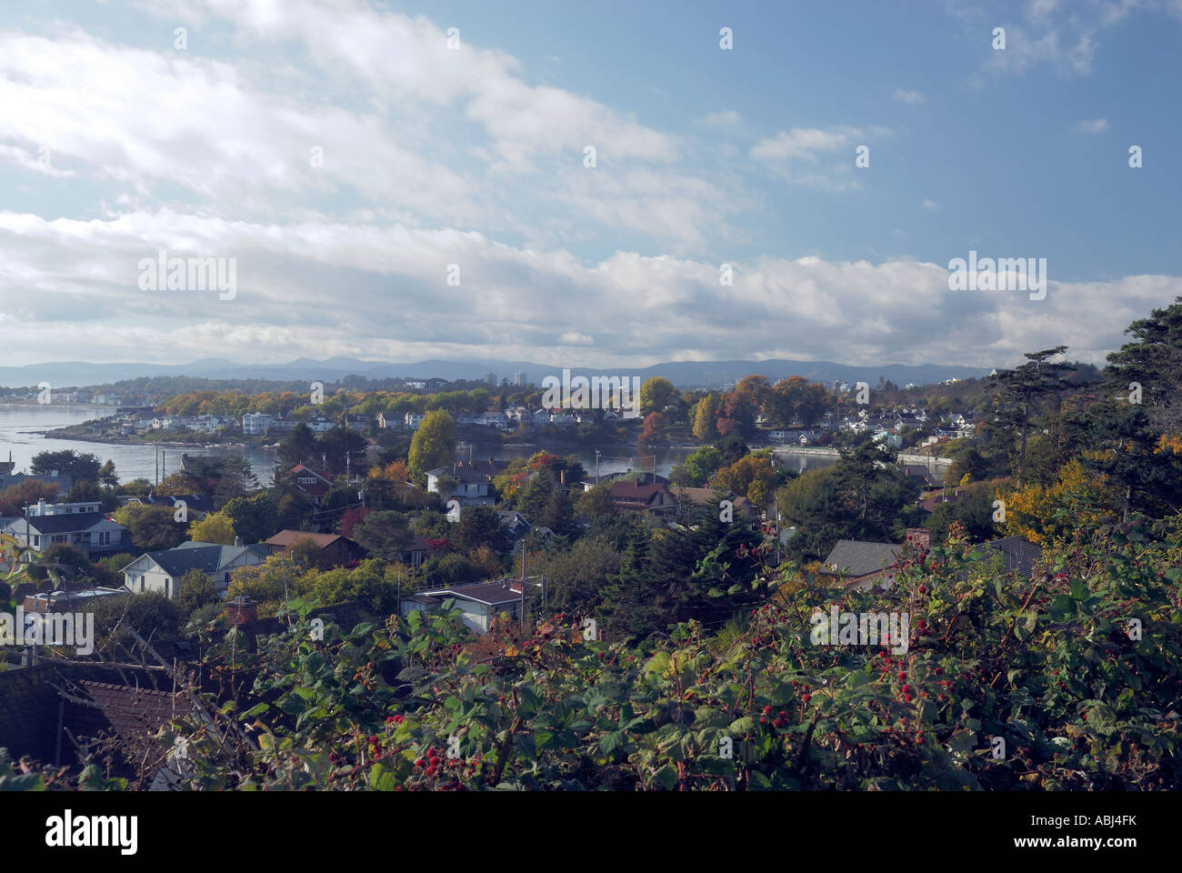 View on the city of Victoria, British Columbia Stock Photo - Alamy