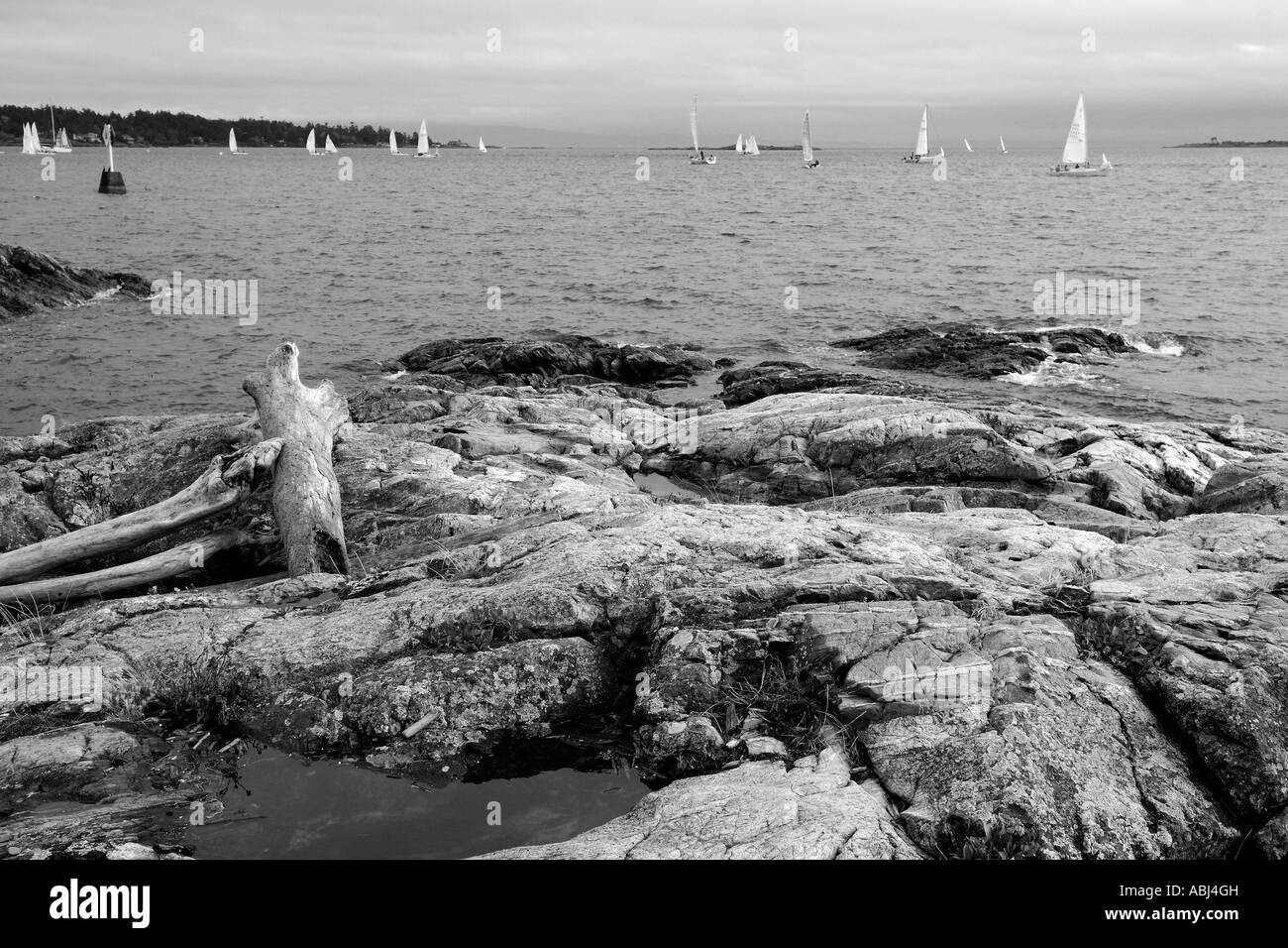 Cove with sailing boats Stock Photo - Alamy