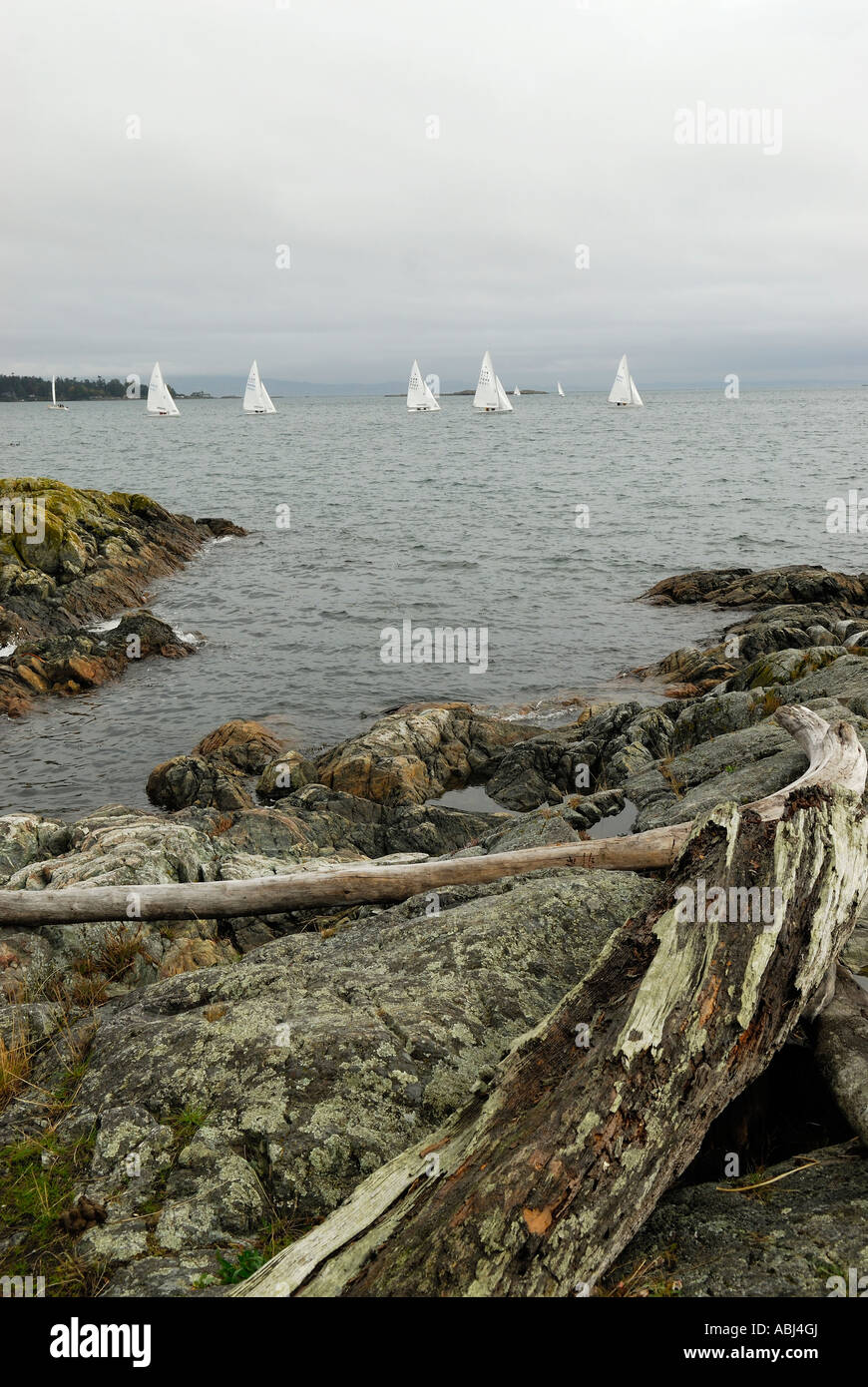 Cove with sailing boats Stock Photo - Alamy