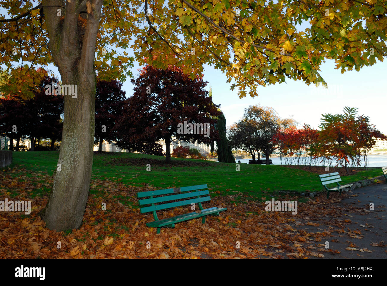 Park in Victoria, Vancouver Island Stock Photo - Alamy
