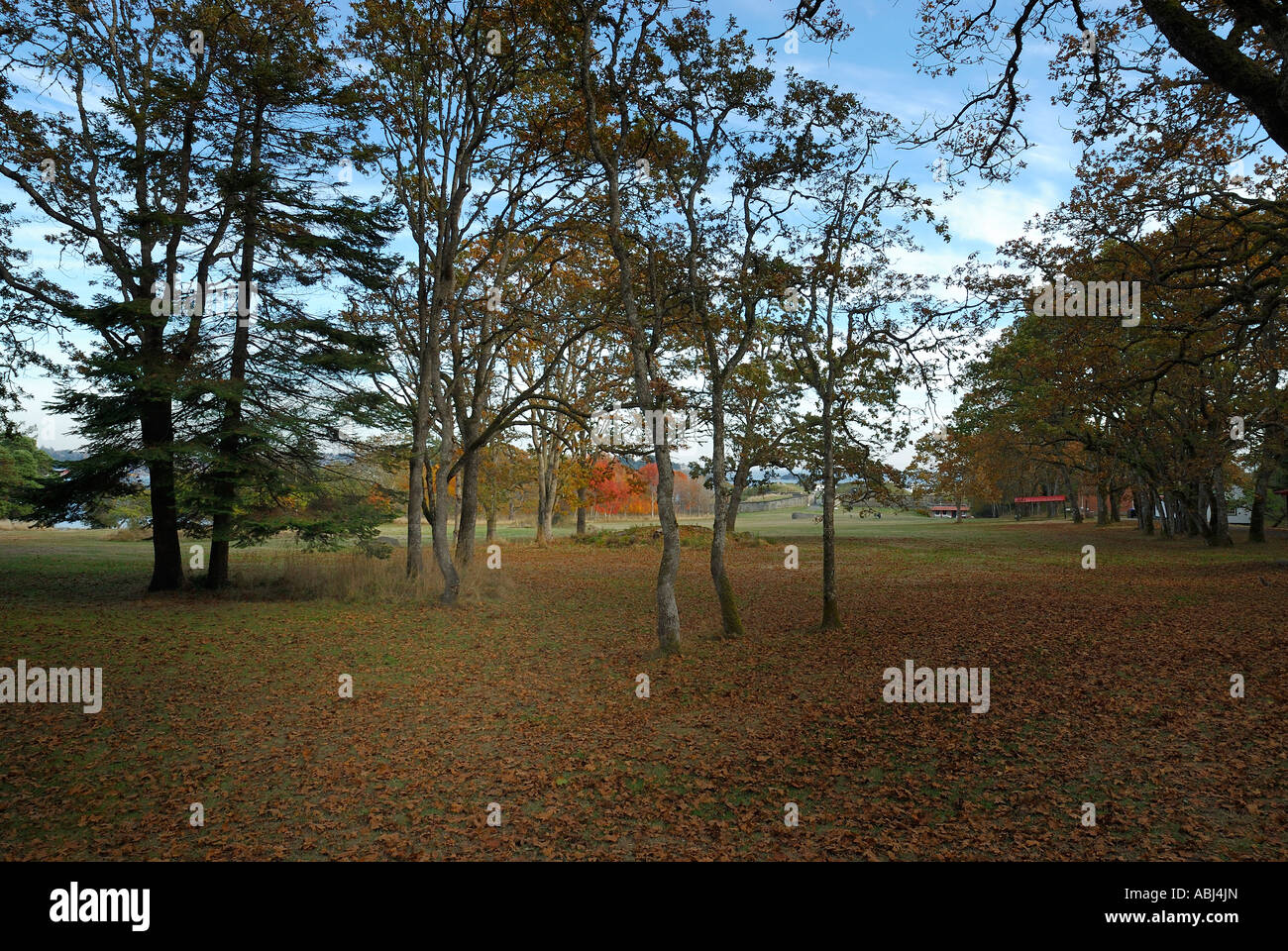 Park in Victoria, Vancouver Island Stock Photo - Alamy