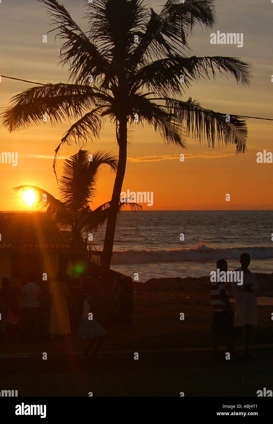Silhouette of Palm Tree - Sunset Stock Photo - Alamy