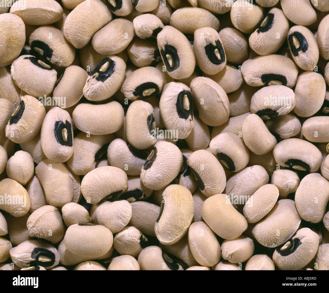 Wrinkled Pea High Resolution Stock Photography and Images - Alamy