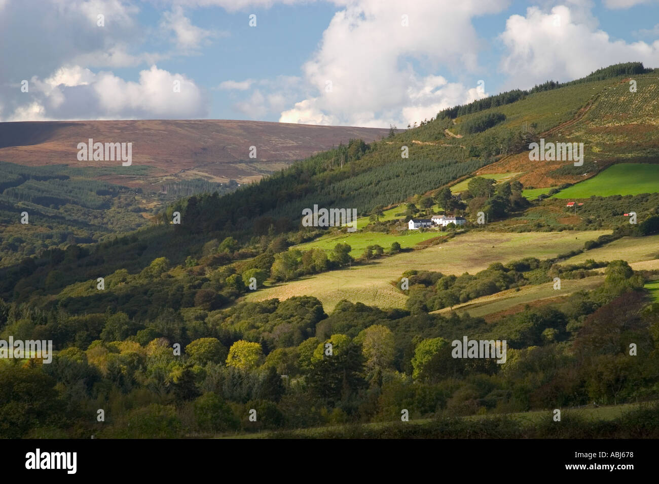 Countryside co Wicklow Ireland Stock Photo - Alamy