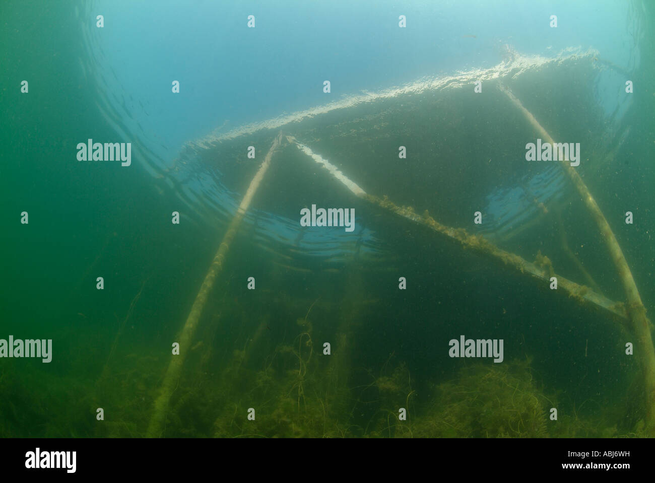Diving deck in Clear Spring lake in Texas Stock Photo - Alamy