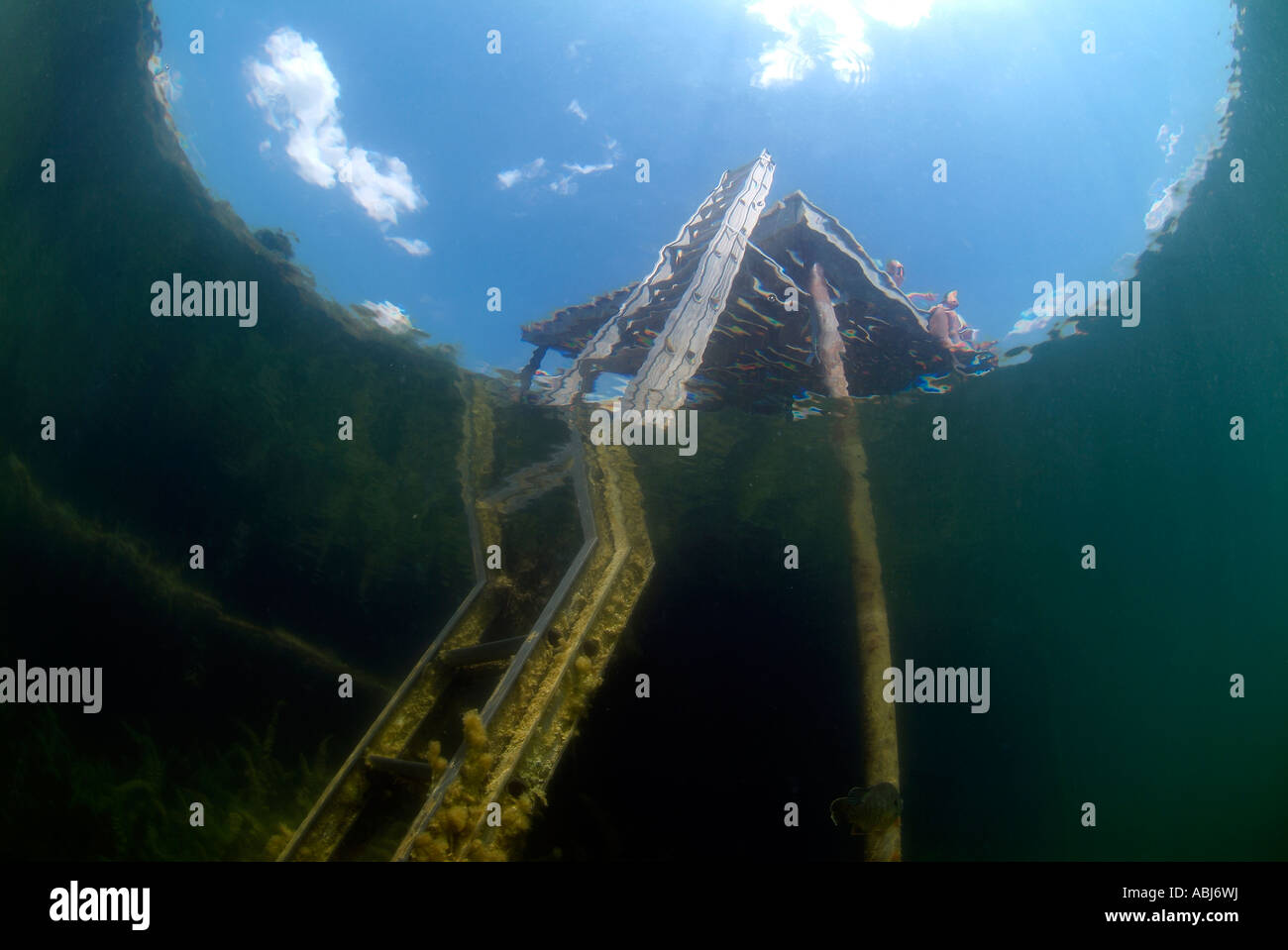 Diving deck in Clear Spring lake in Texas Stock Photo - Alamy