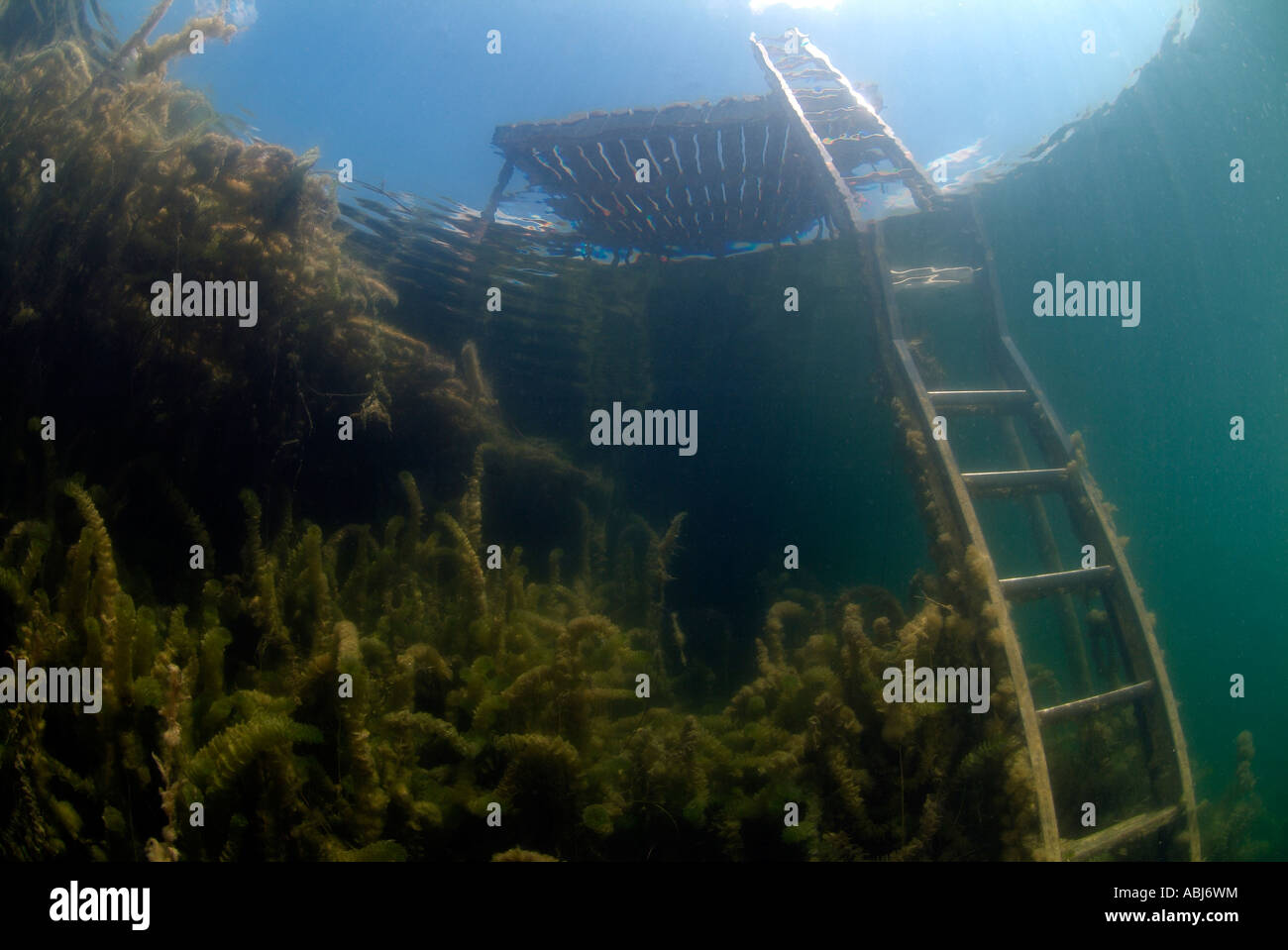 Diving deck in Clear Spring lake in Texas Stock Photo - Alamy