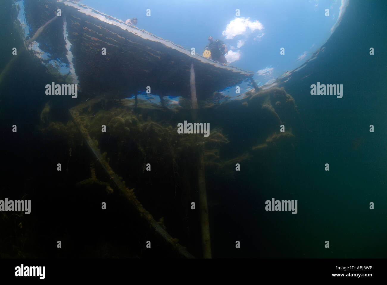 Diving deck in Clear Spring lake in Texas Stock Photo - Alamy
