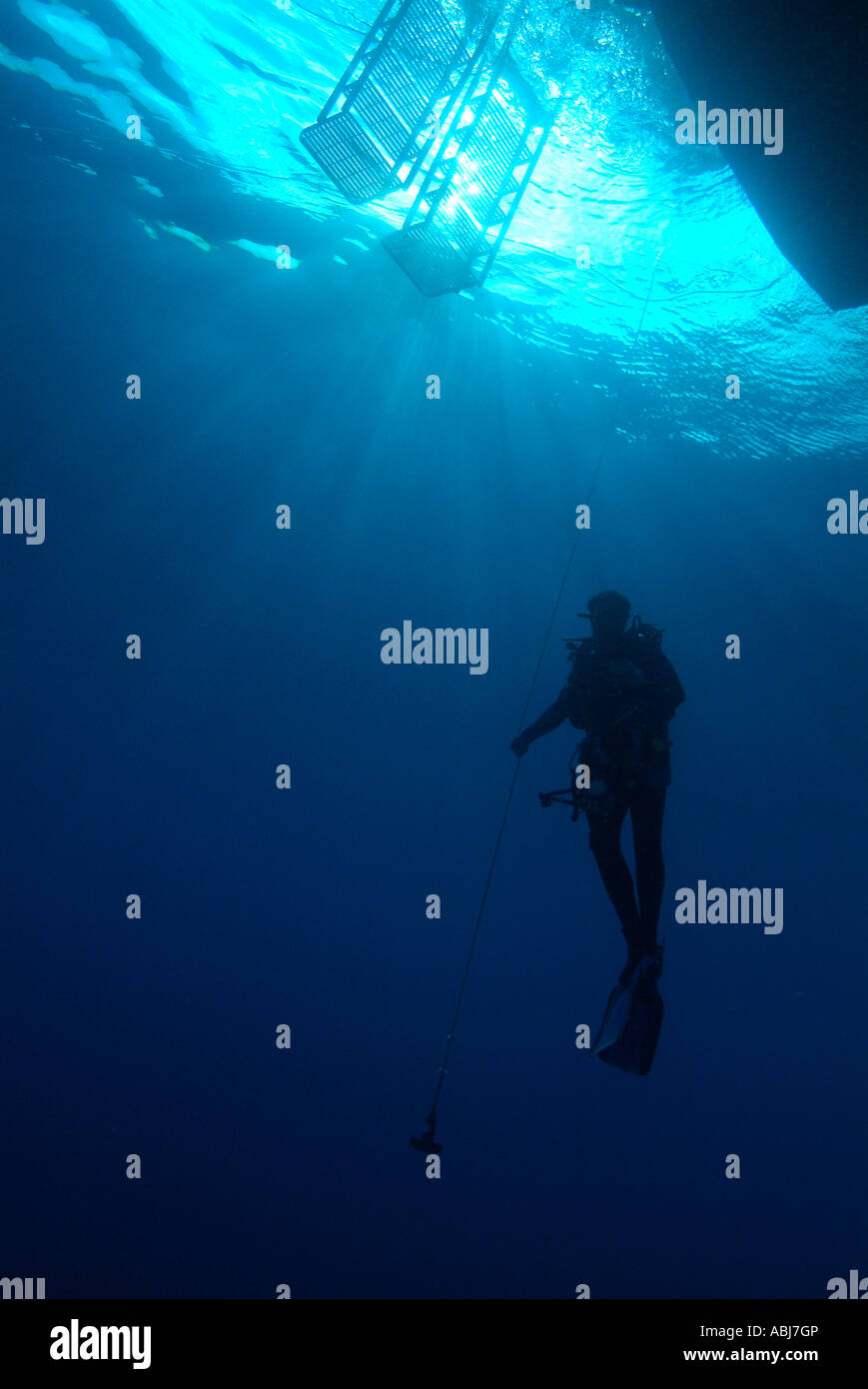 Scuba diver doing a safety stop in the Gulf of Mexico off Texas Stock ...