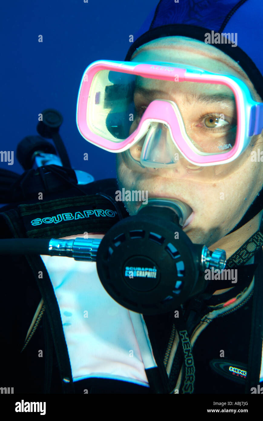Portrait of a diver in Flower Garden in the Gulf of Mexico Stock Photo ...