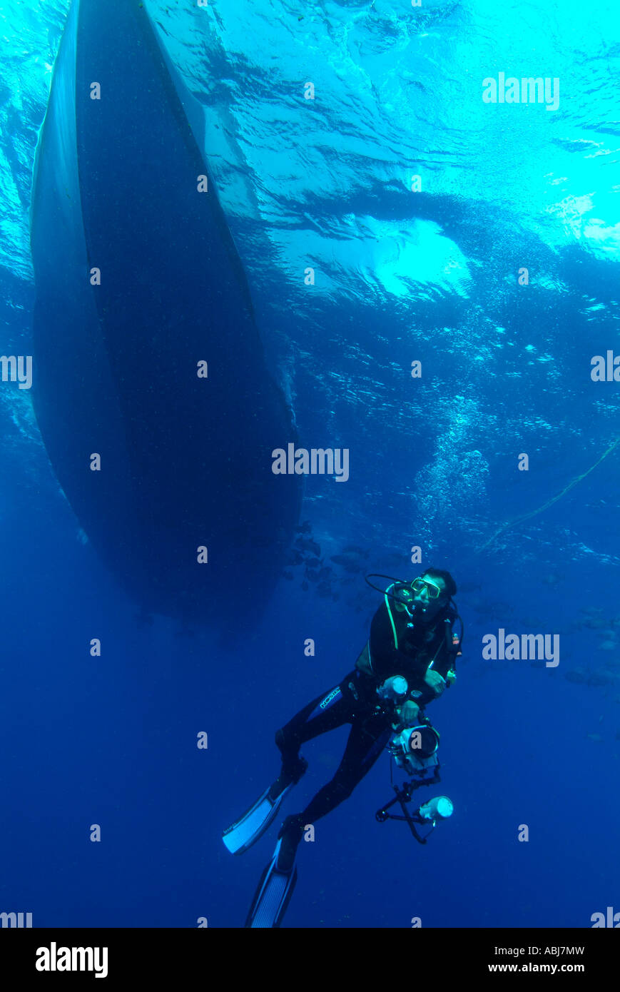 Scuba diver doing a safety stop in the Gulf of Mexico off Texas Stock ...