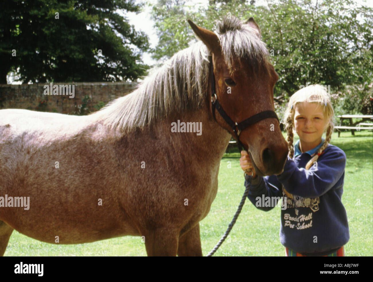 Child caring for pony hi-res stock photography and images - Alamy