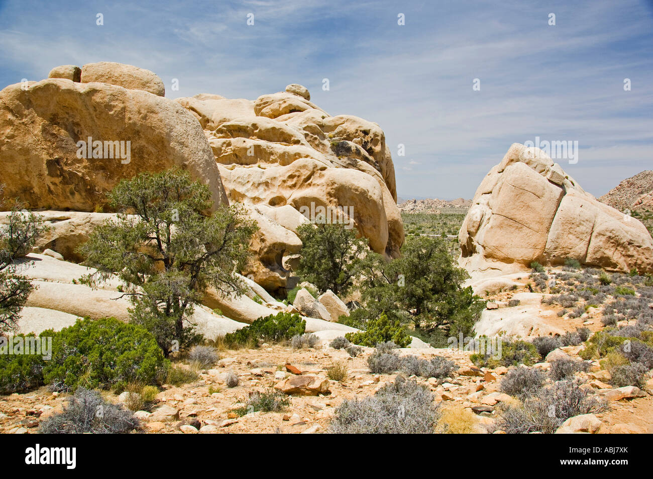 Some huge rocks along the trail in Joshua Tree Stock Photo - Alamy