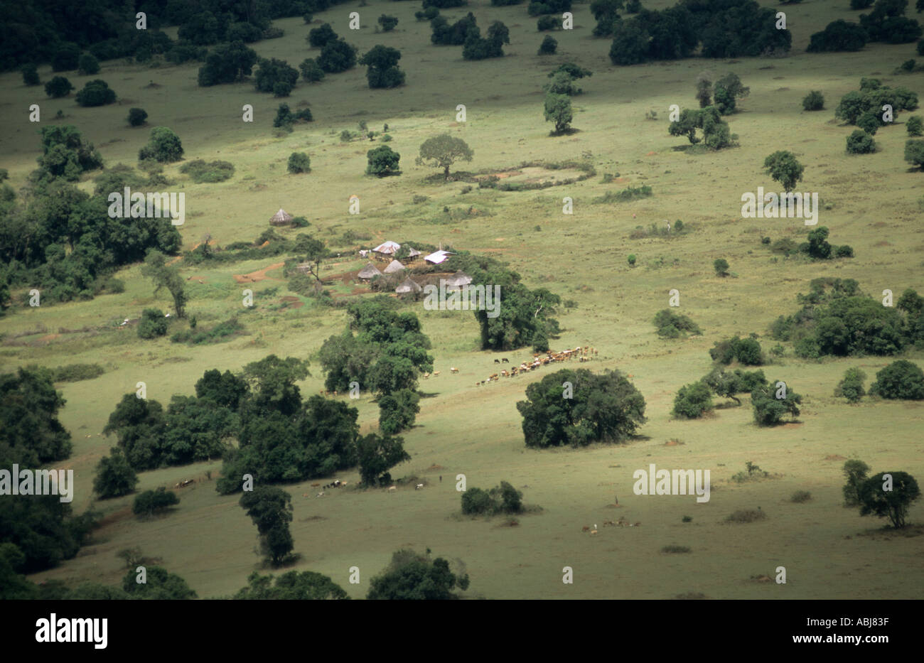 Bomas of kenya hi-res stock photography and images - Alamy