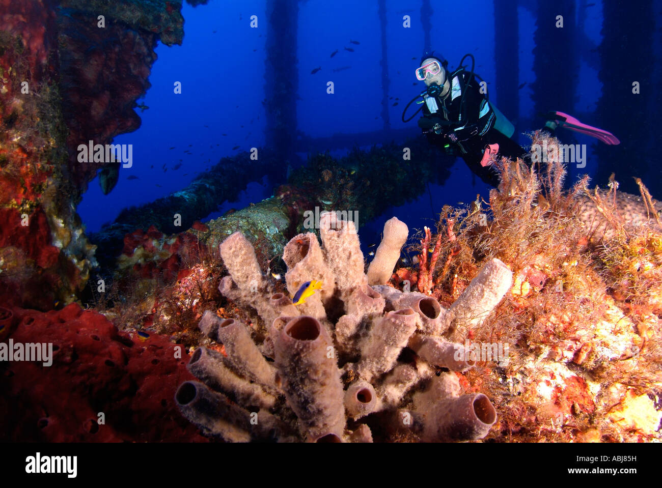 Diver underwater rig hi-res stock photography and images - Alamy