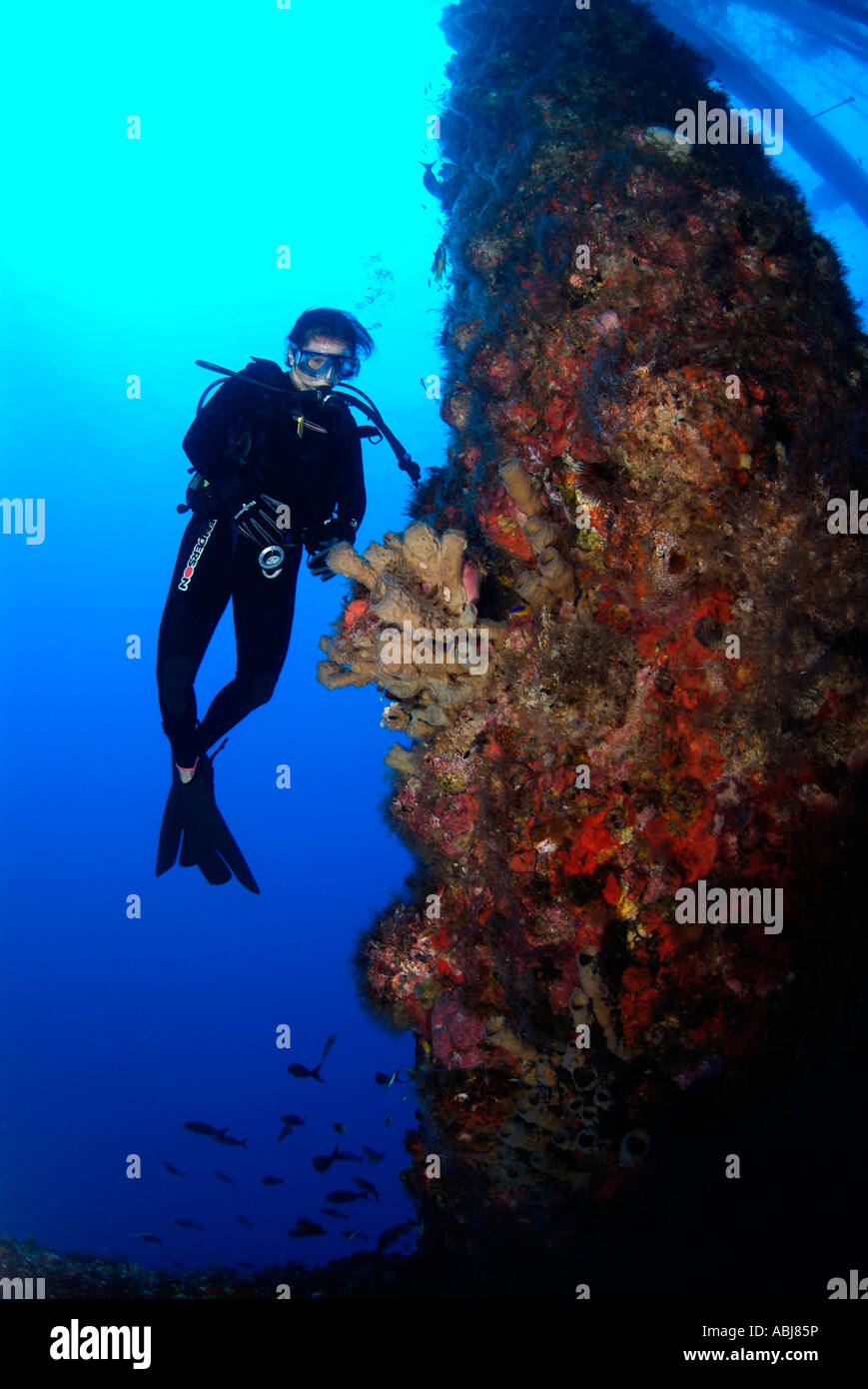 Portrait of a diver diving thru a rig in the Gulf of Mexico Stock Photo ...