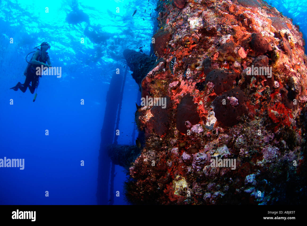 Diver diving thru a rig in the Gulf of Mexico Stock Photo - Alamy