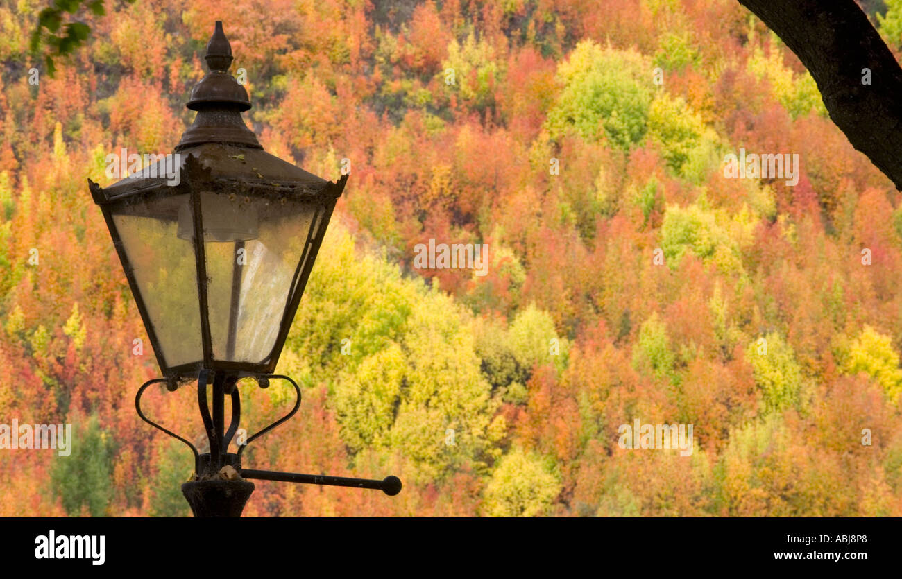 Autumn fall colours in Alexandra in Central Otago, New Zealand Stock ...