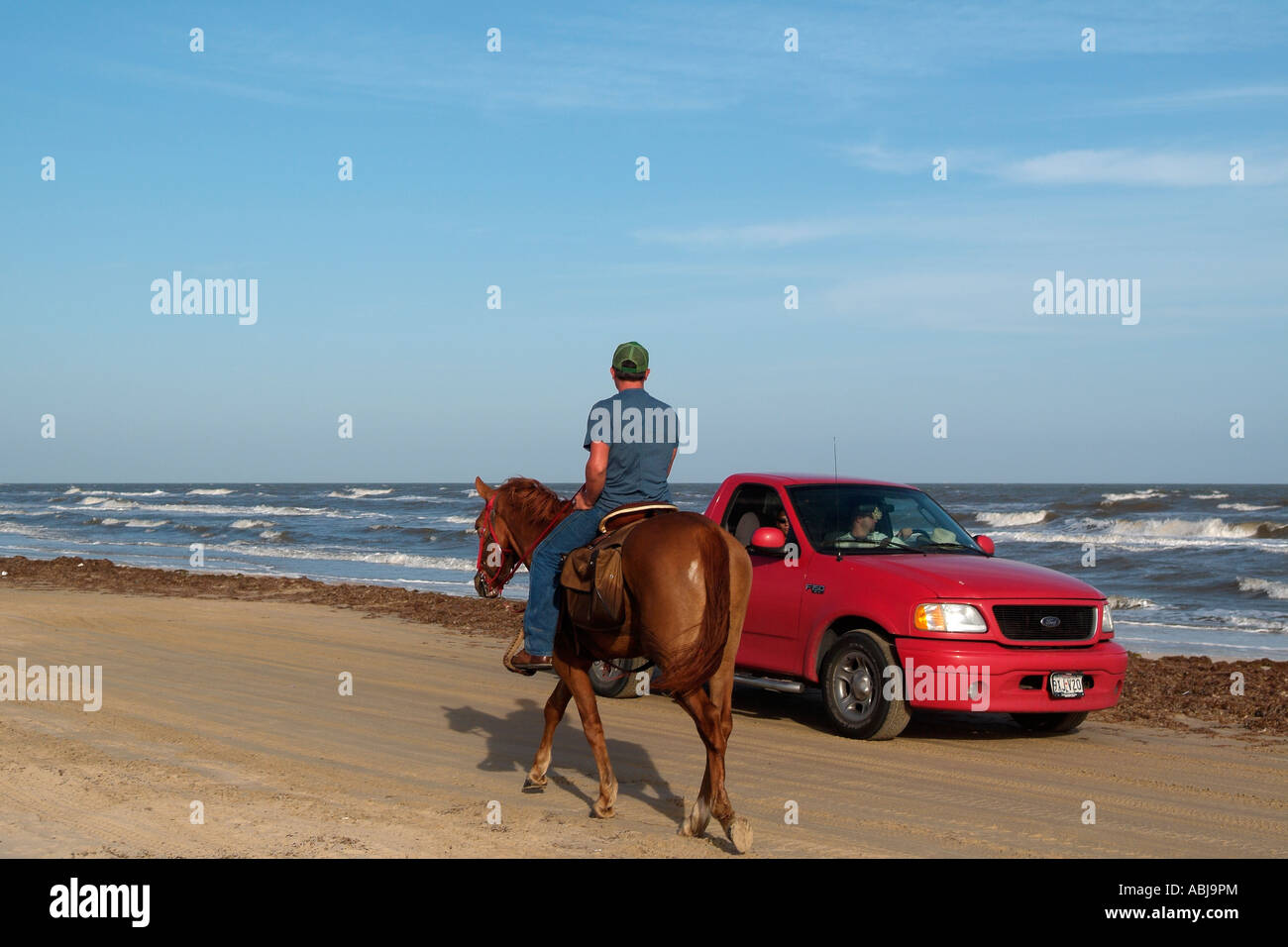Horse car hi-res stock photography and images - Alamy