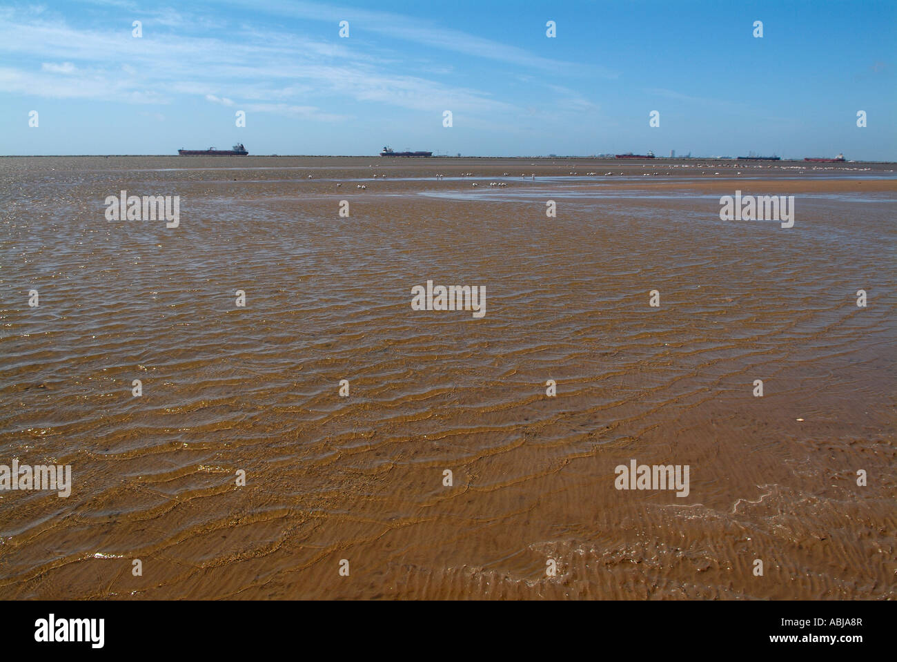 Beach in Bolivar Peninsula, south of Texas Stock Photo - Alamy