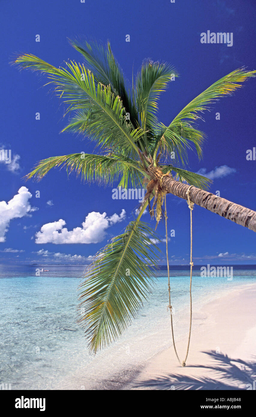 Indian ecosystems hi-res stock photography and images - Alamy