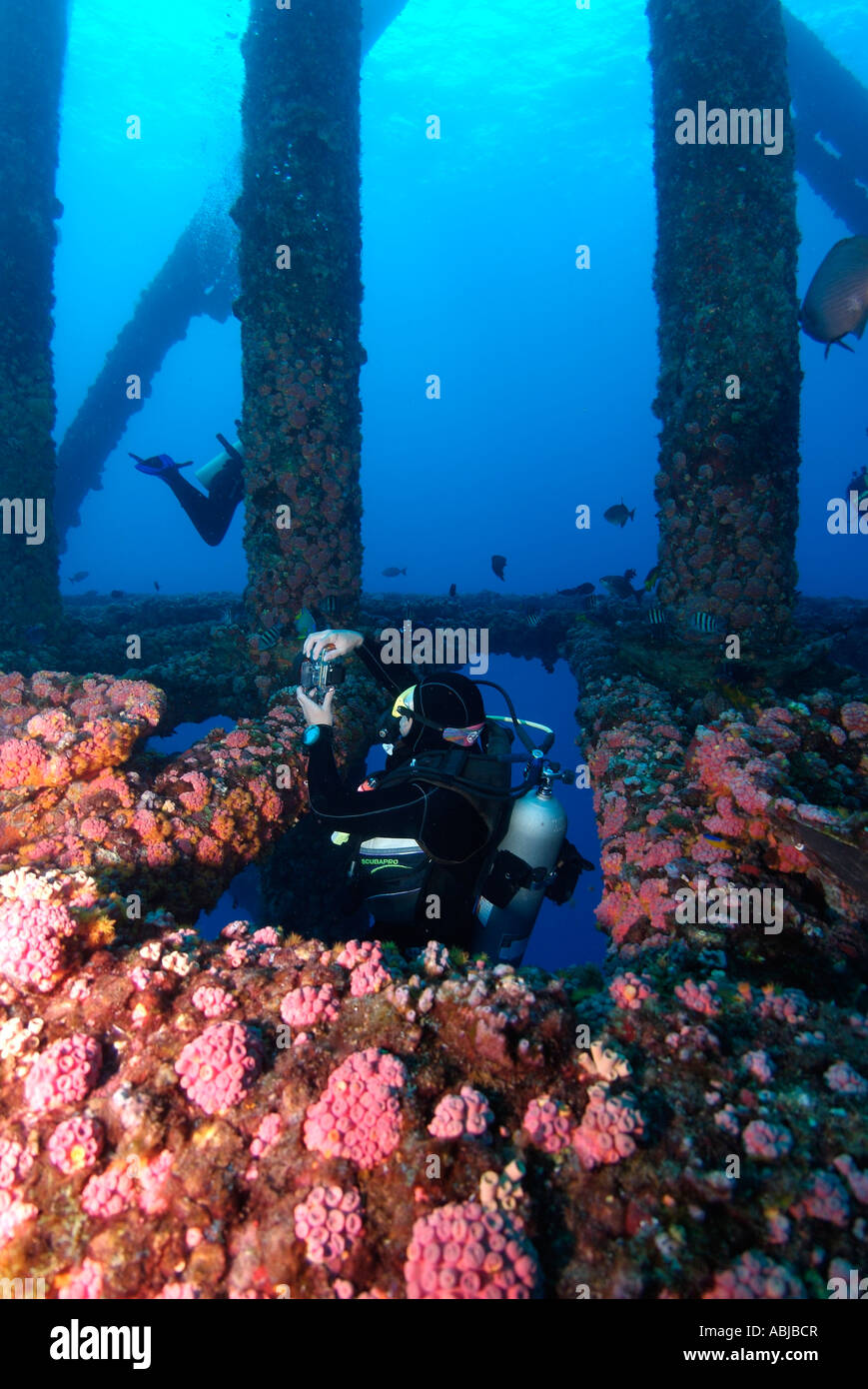Oil rig gulf of mexico underwater hi-res stock photography and images ...