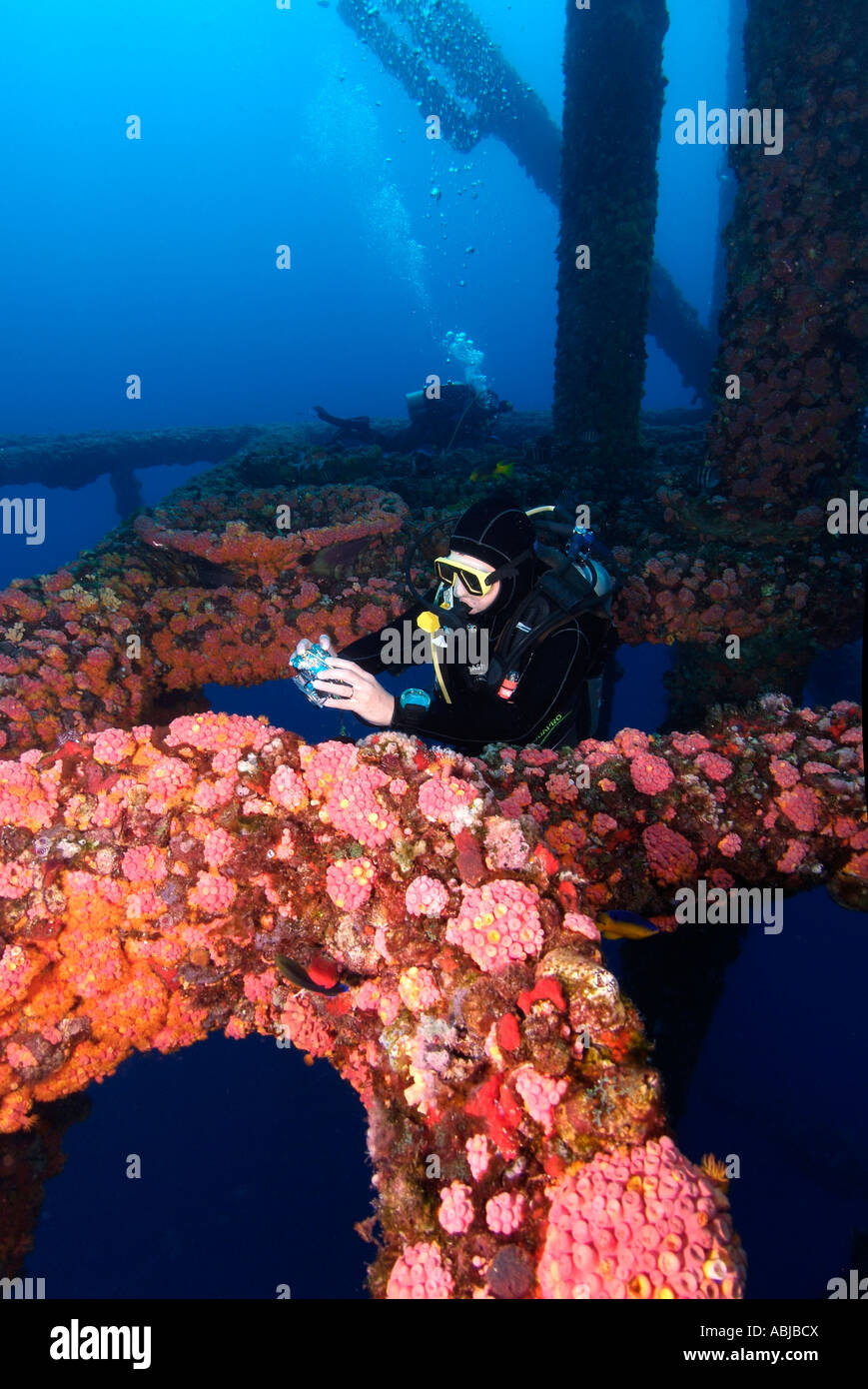 Diver swimming thru a rig in the Gulf of Mexico off Texas Stock Photo ...