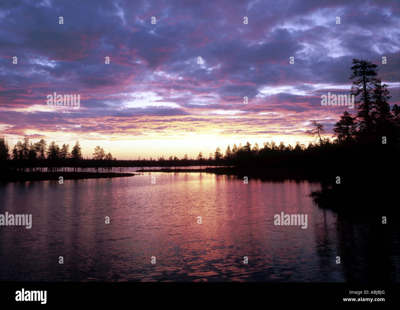 Lake Pasvik in Norway Stock Photo - Alamy