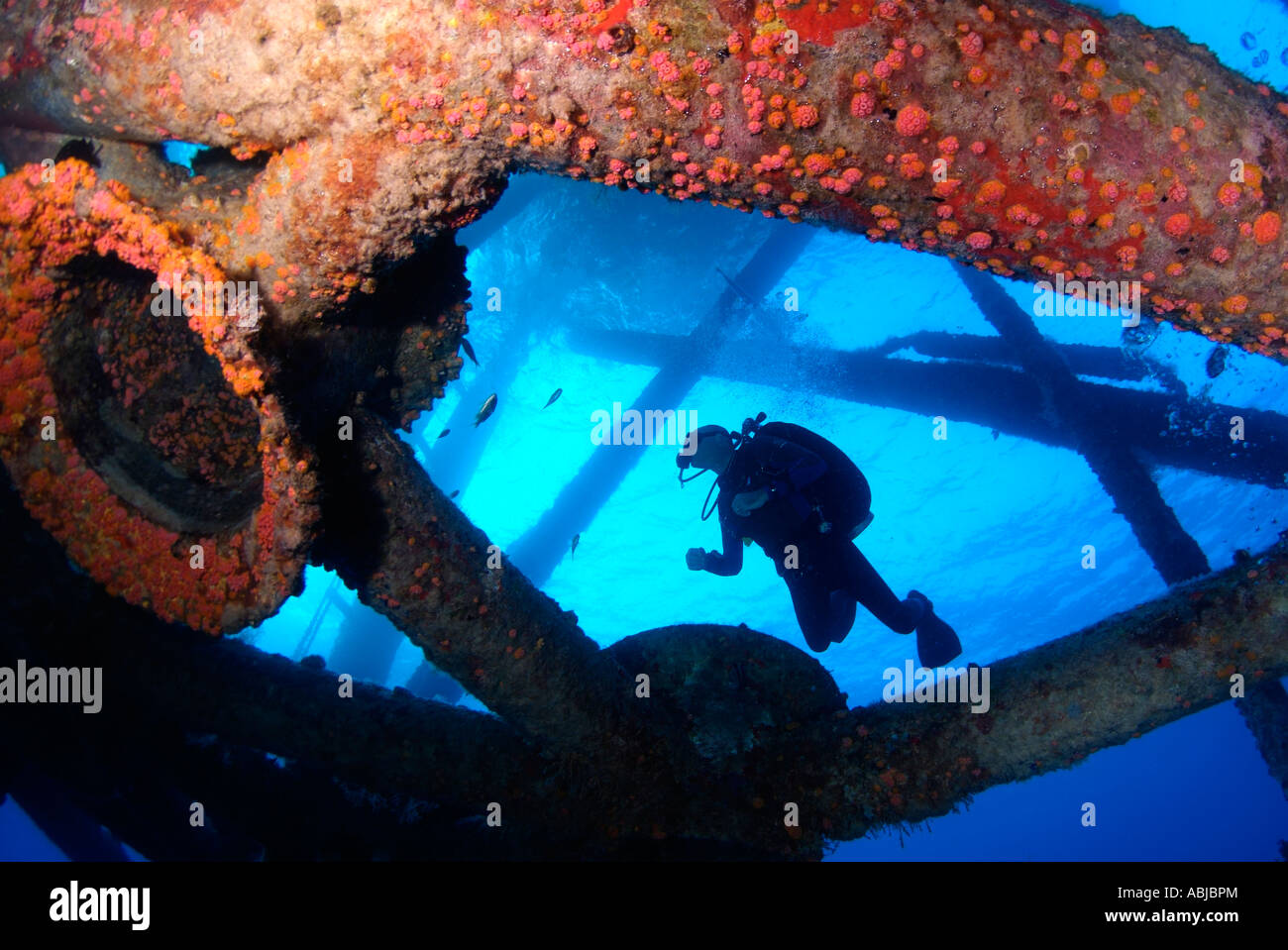 Diver swimming in a rig in the Gulf of Mexico, off Texas Stock Photo ...