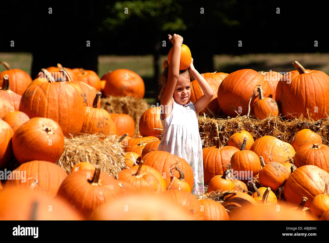 Young girl carrying a pumpkin for Halloween Stock Photo - Alamy