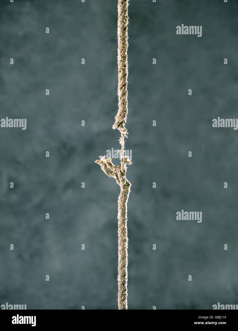 HANGING BY A THREAD Stock Photo - Alamy