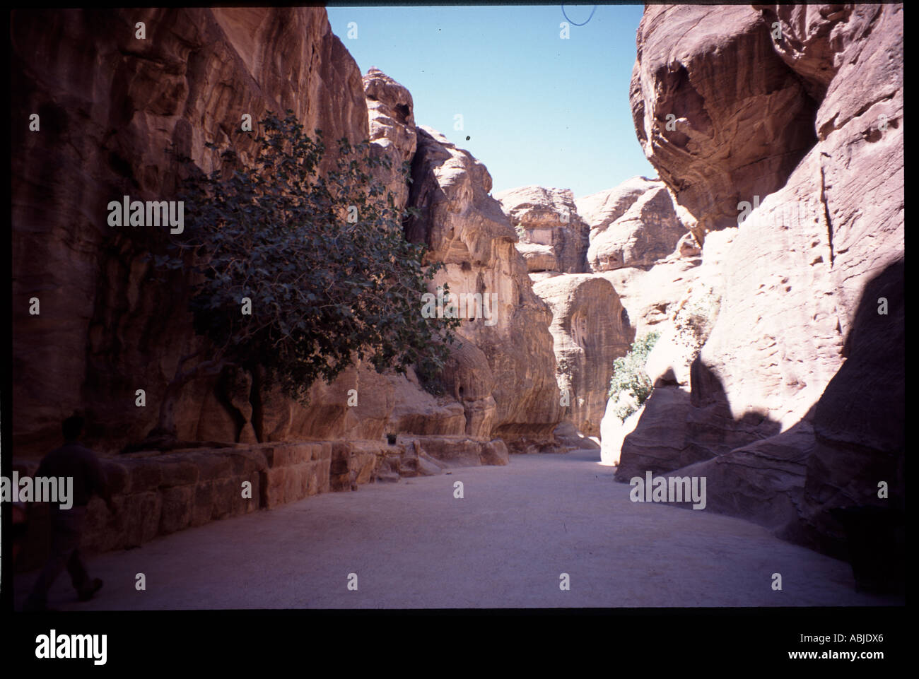Buildings carved into the rock face in Petra, Jordan Stock Photo - Alamy