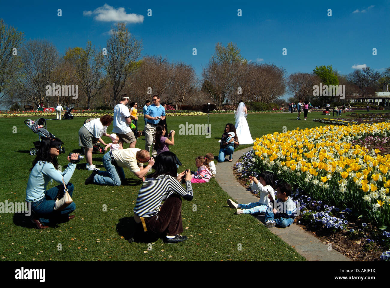 Children shoot in the garden hi-res stock photography and images - Alamy