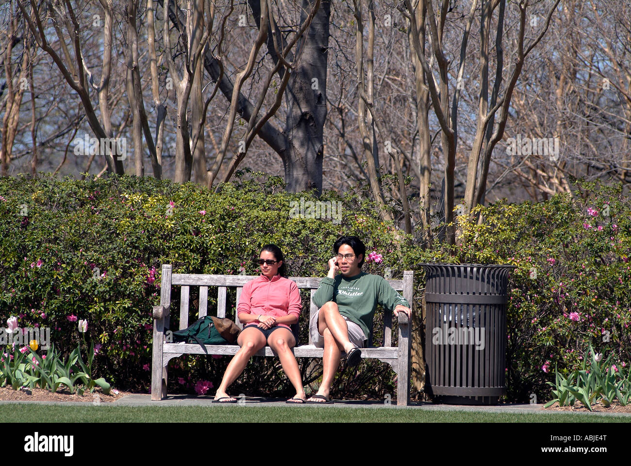 People sitting on a wood bench in a park in Dallas Stock Photo - Alamy