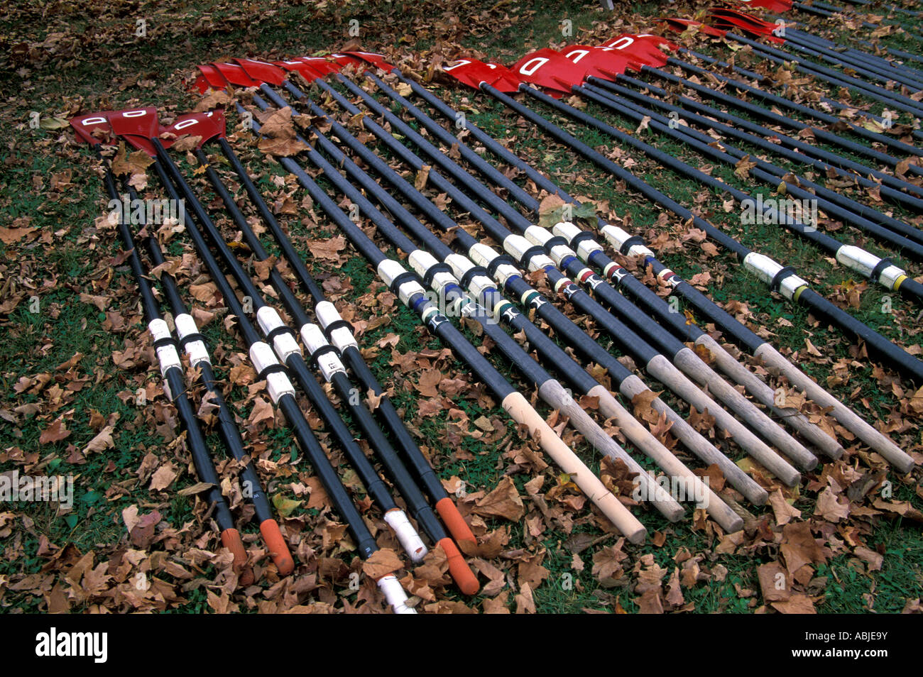 Oar handle hi-res stock photography and images - Alamy