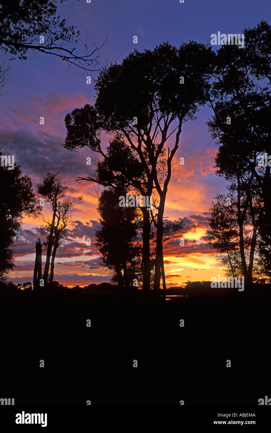 Vivid montana sunset hi-res stock photography and images - Alamy