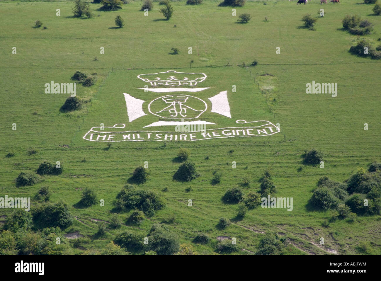 REGIMENTAL BADGES CARVED IN CHALK HILLSIDE AT FOVANT. WILTSHIRE ...