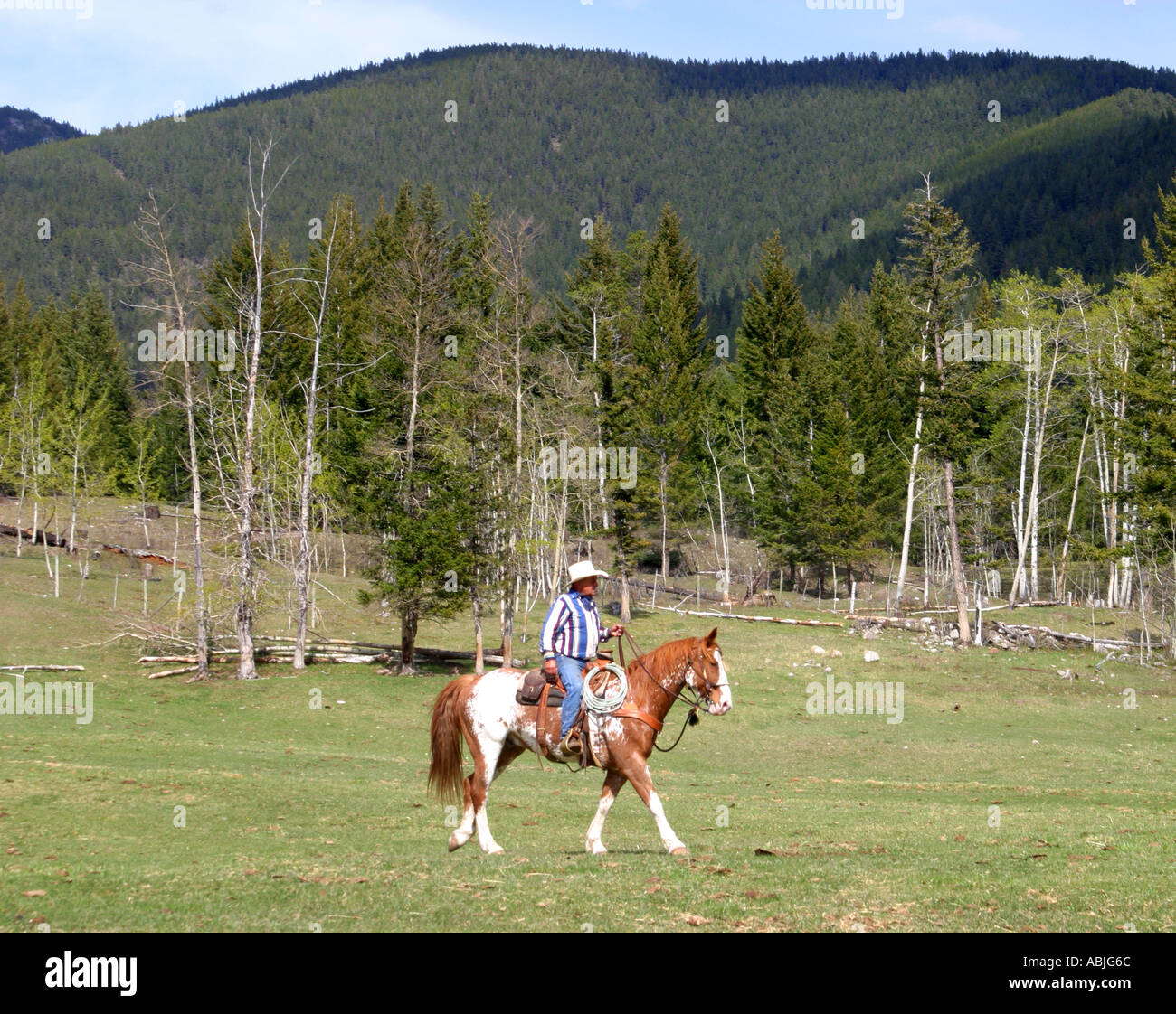 Cowboy riding across his pasture Stock Photo - Alamy