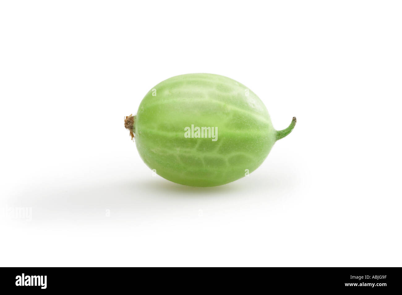 Single Gooseberry Plain Simple Stock Photo - Alamy