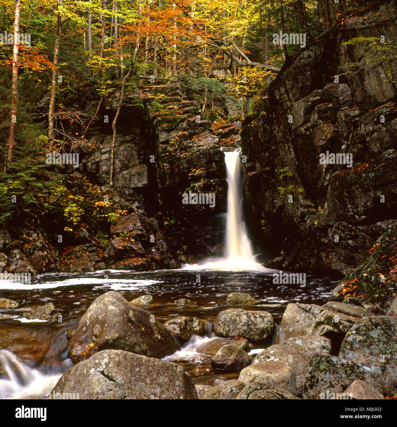 Maples leaves waterfall hi-res stock photography and images - Alamy