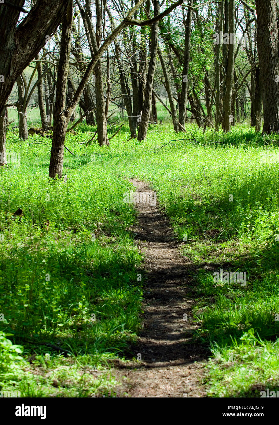 Empty culvert hi-res stock photography and images - Alamy
