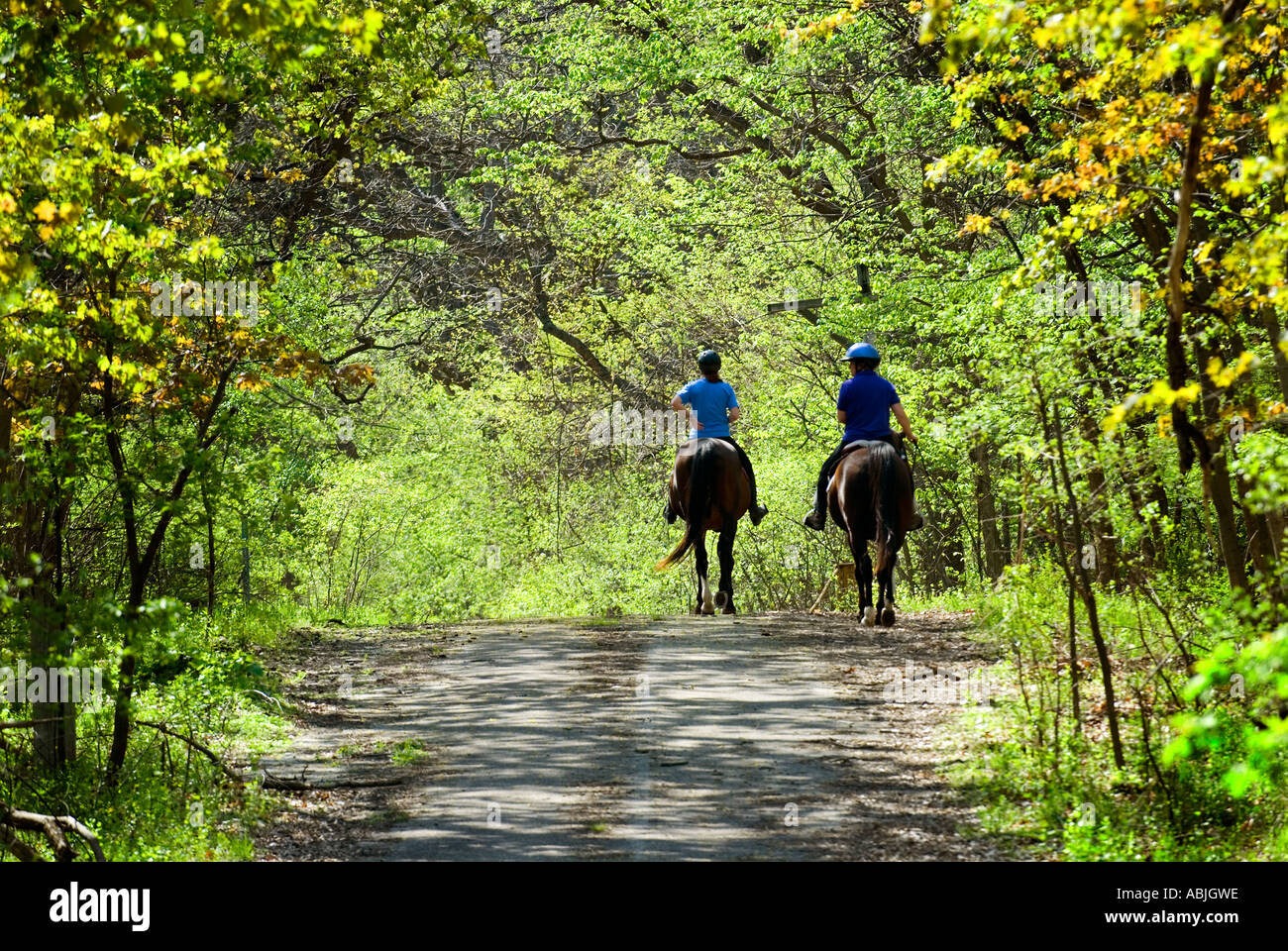 Horseback Riding along Country Road Stock Photo - Alamy
