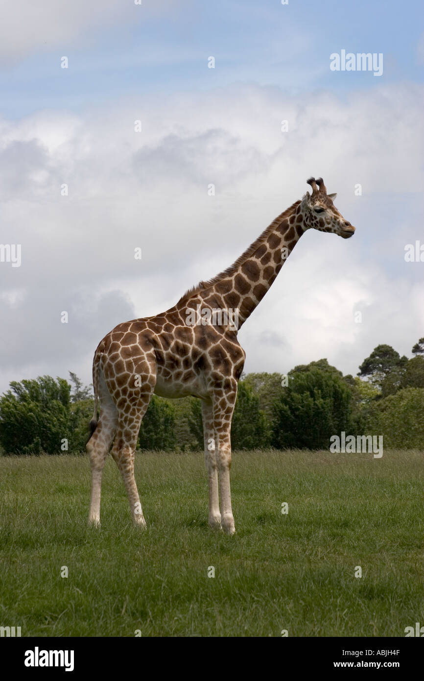 Visit fota hi-res stock photography and images - Alamy