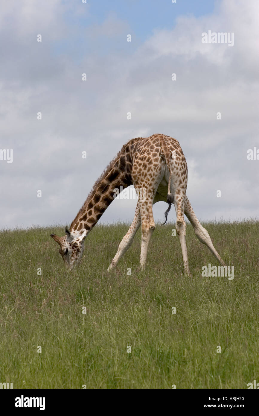 Visit fota hi-res stock photography and images - Alamy